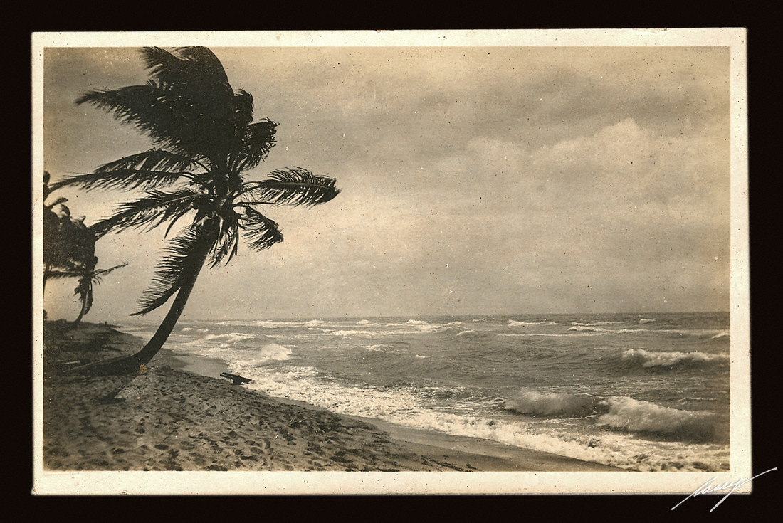 casey/artandcolour: Early 20th Century Miami Beach Postcard