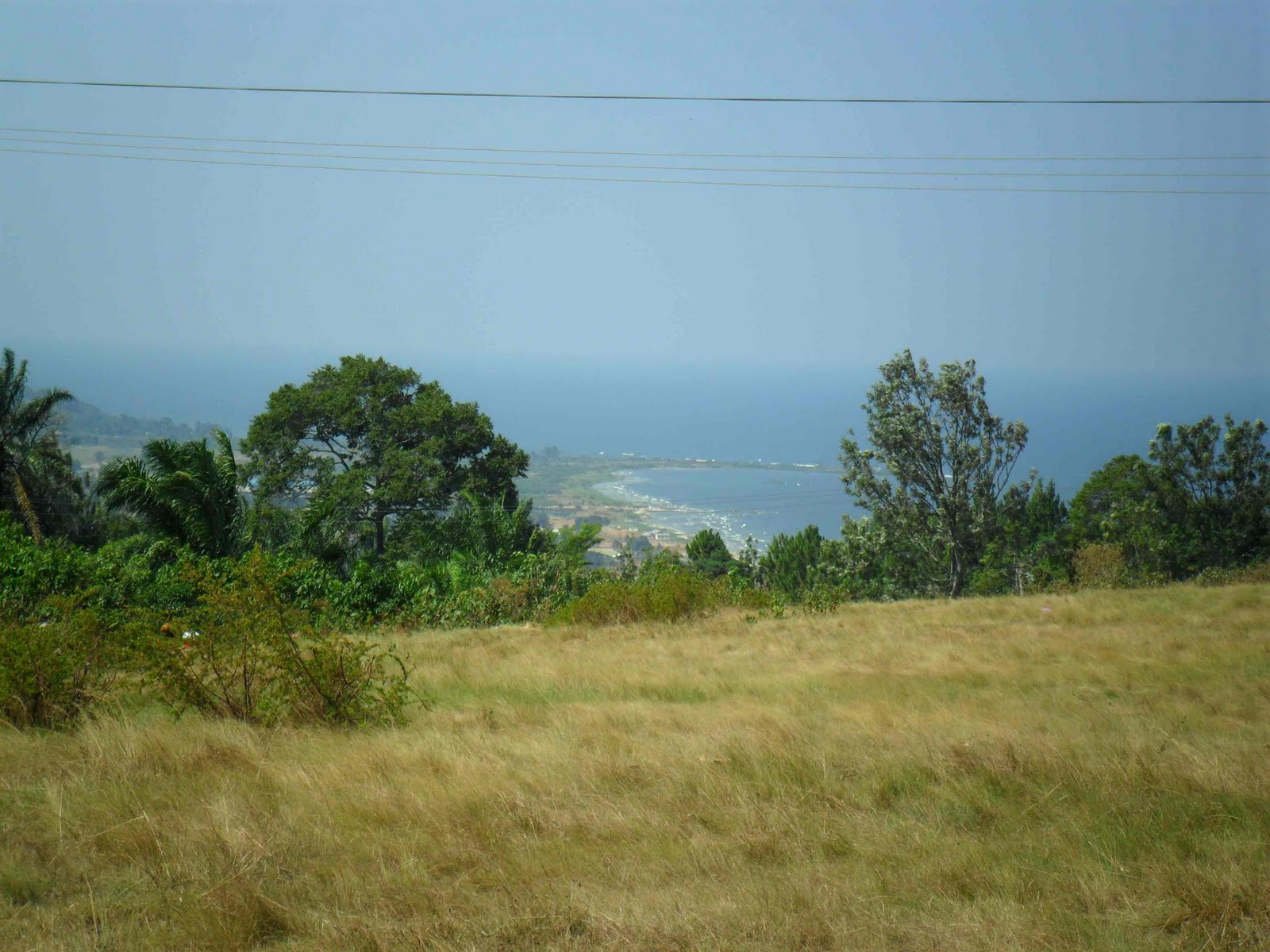 Bukoba Steve's Uganda birding blog: And so we arrive in Bukoba!