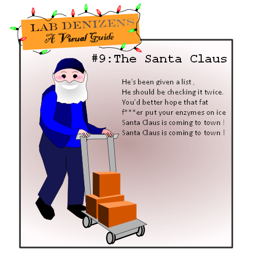 Memoirs of a Defective Brain: #9 The Santa Claus
