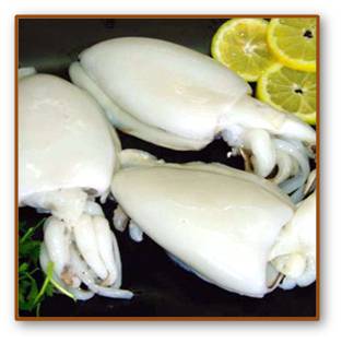 Recetas de mis Pacientes: Jibia en Salsa