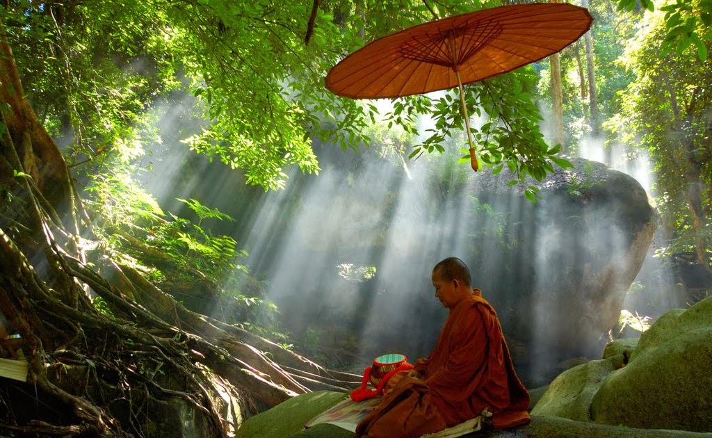 dhamma musings: Seeing The Buddha, Seeing The Dhamma