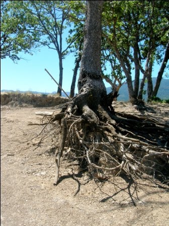 A Simple Explanation of Absolutely Everything: The Fractal Roots of ...