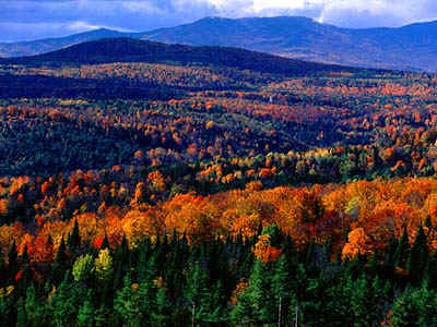 Tehachapi Pete: Saint Johnsbury....