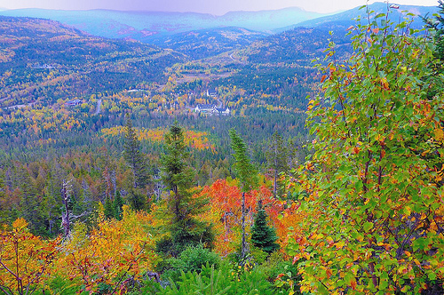 Tehachapi Pete: Gaspésie National Park...