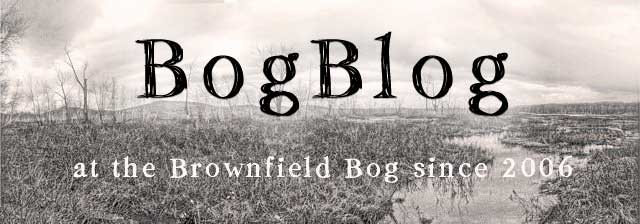 BogBlog: March 2006
