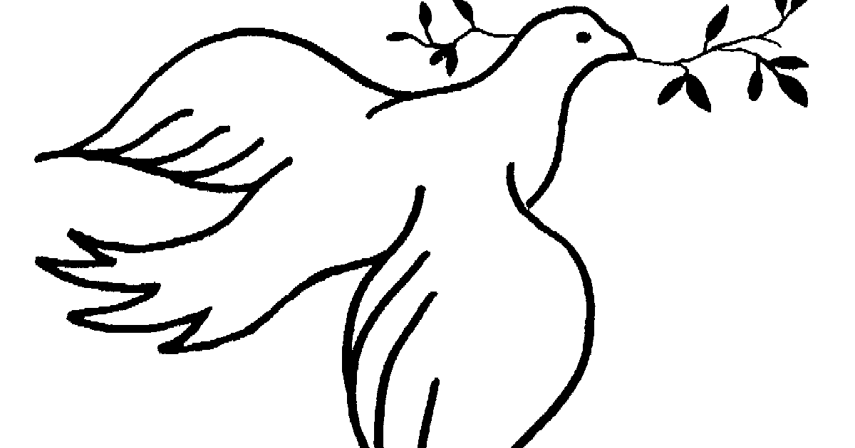 Porumbei şi columbofili: Porumbelul, simbol al pacii si prieten al omului