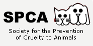 Greatness is a road leading towards the unknown: SPCA.