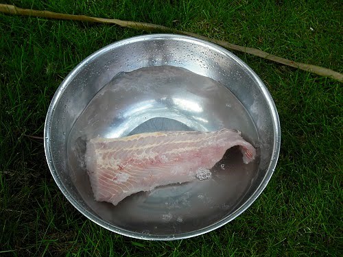 Culinary Alchemy: Like a Sturgeon, Caught For the Very First Time - How ...