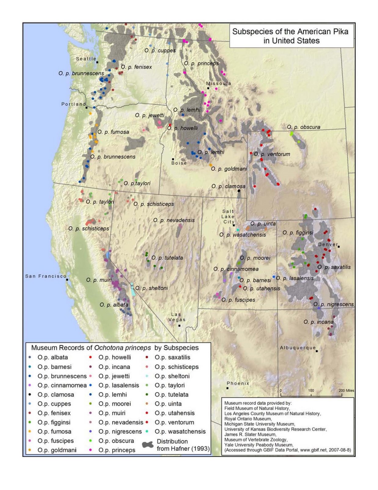New Study Finds Wild Pikas Are Natural Mammalian Hosts To H5N1 Avian ...