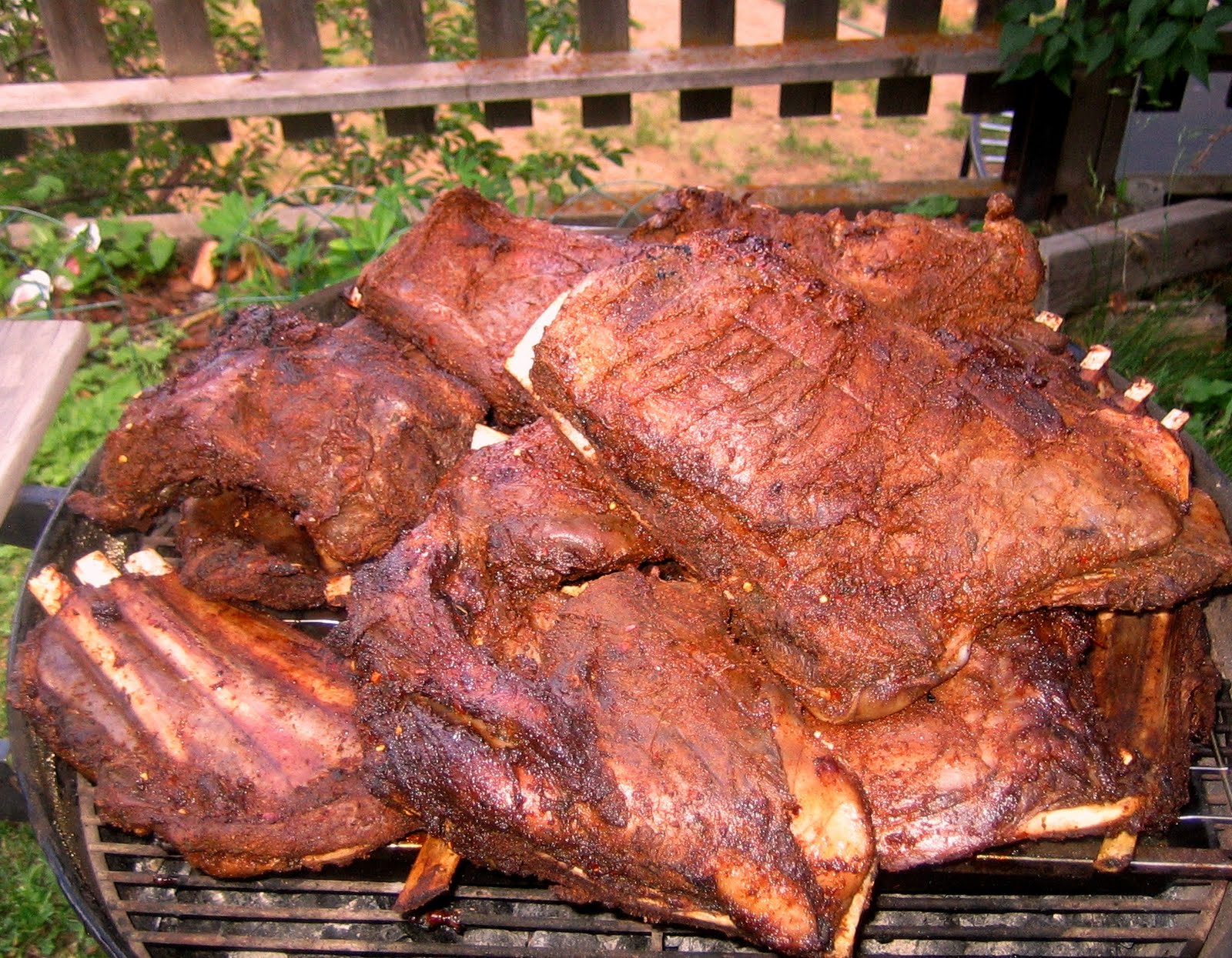 EcoRover: Summer Fun: Elk Rib BBQ, Camping, Celebration, Floating