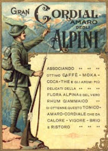 Gebirgskrieg: The Edelweiss Division