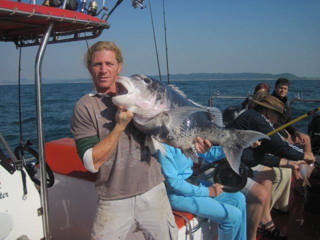 Archie (Magangane): POENSKOP(BLACK MUSCLECRACKER)-cymatoceps nasutus