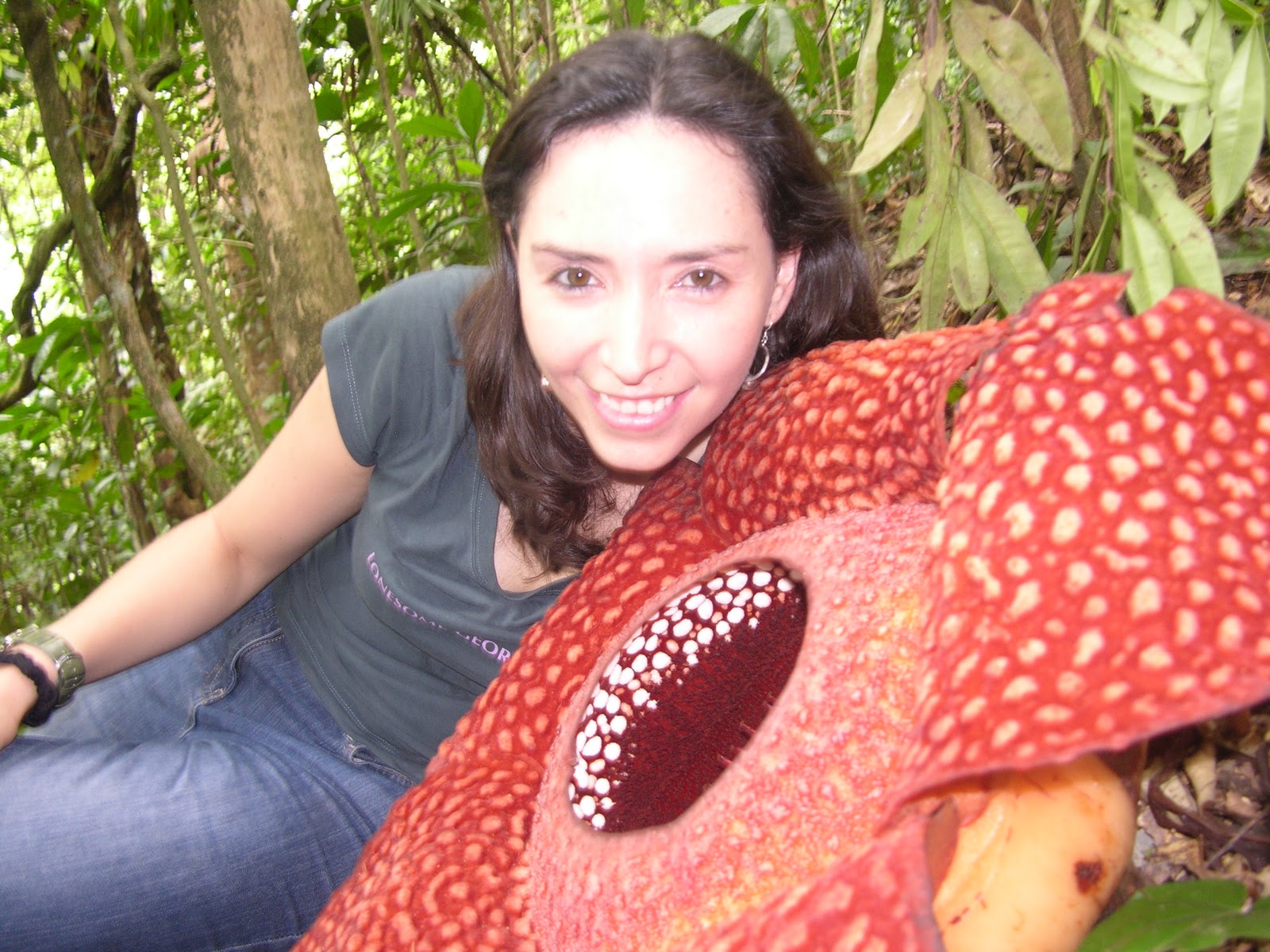 My journey to the dragons: Rafflesia arnoldii