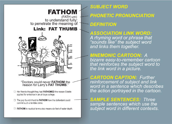 Reed, Party of 6: TOS Review: Vocabulary Cartoons, SAT Word Power