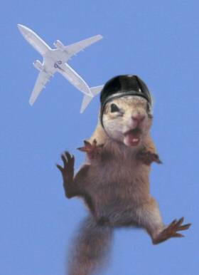 The Squirrel Has Landed. - published by lancer450 on day 1,991 - page 1 ...