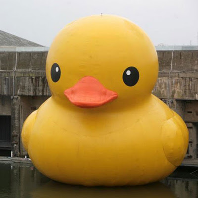Los patitos hacen Cuack Cuáck