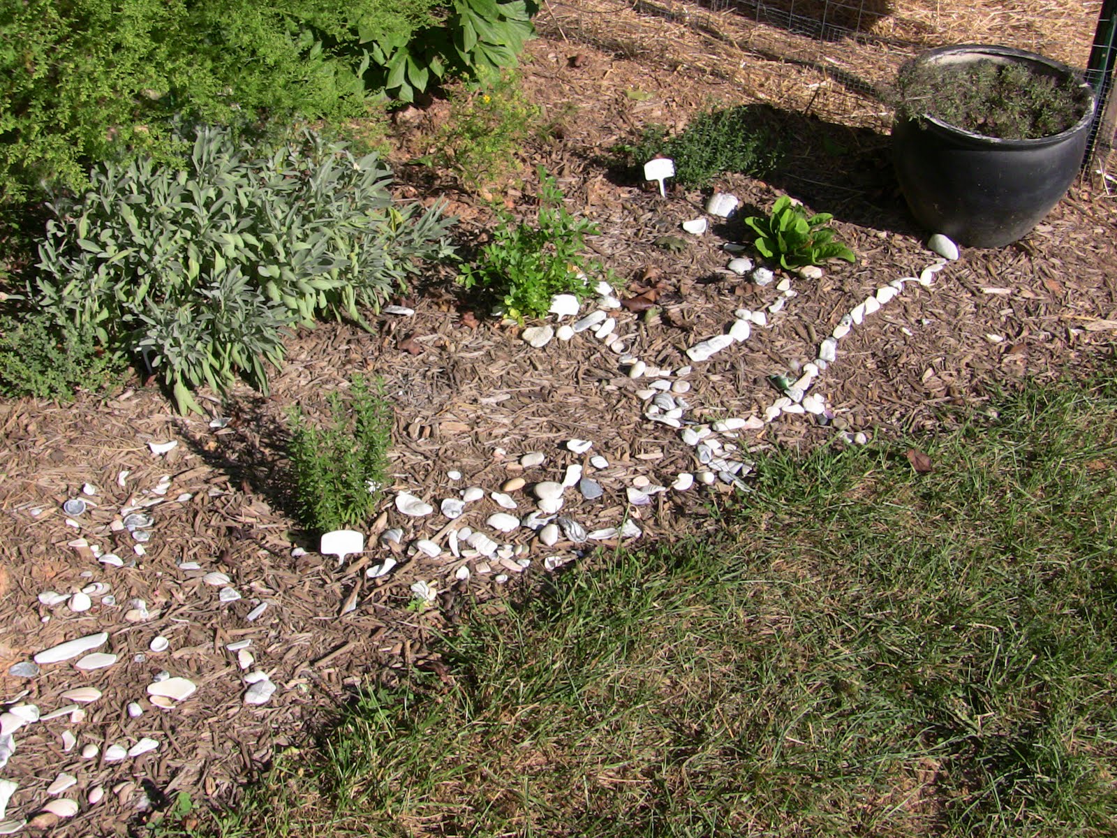 Apple Falls: Seashell Sidewalks