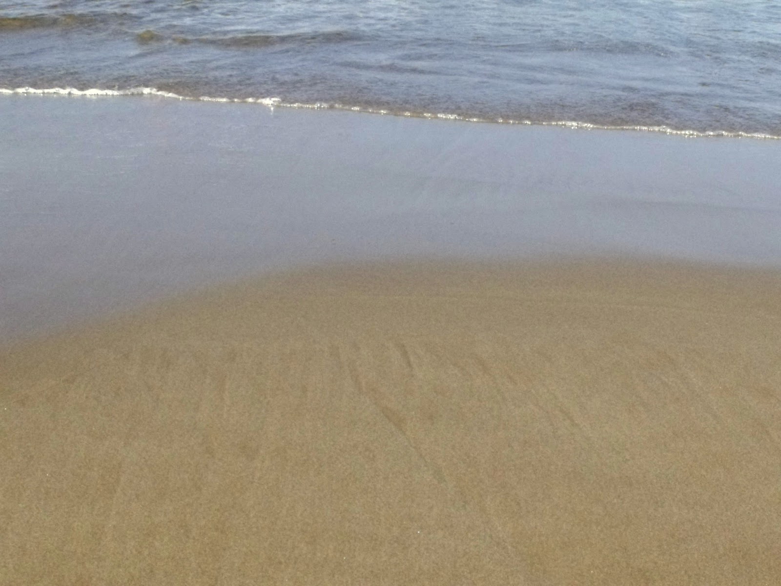 Amatphoto: Sable fin