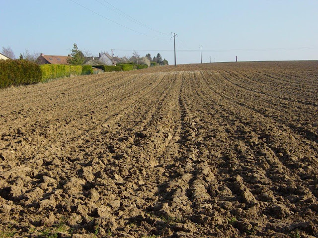 L'histoire de Proville: l'histoire de Proville-16-Proville : les lieux-dits