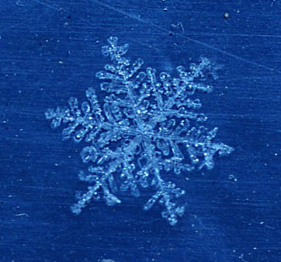 Sauliusfoto: Snaigės