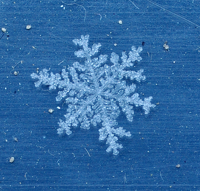 Sauliusfoto: Snaigės