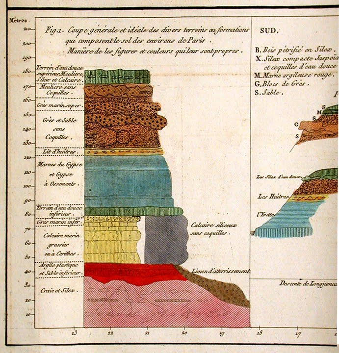 History of Geology: History of Paleomammology: Cuvier's opossum