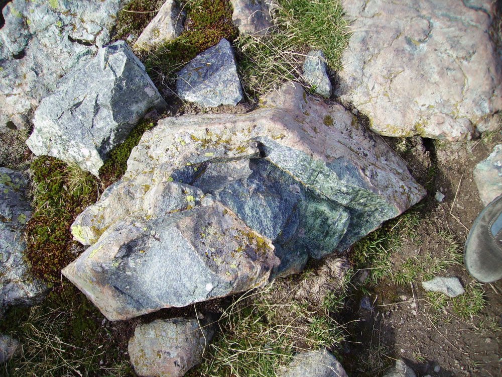 History of Geology: The history of alpine tectonics and a visit to the ...