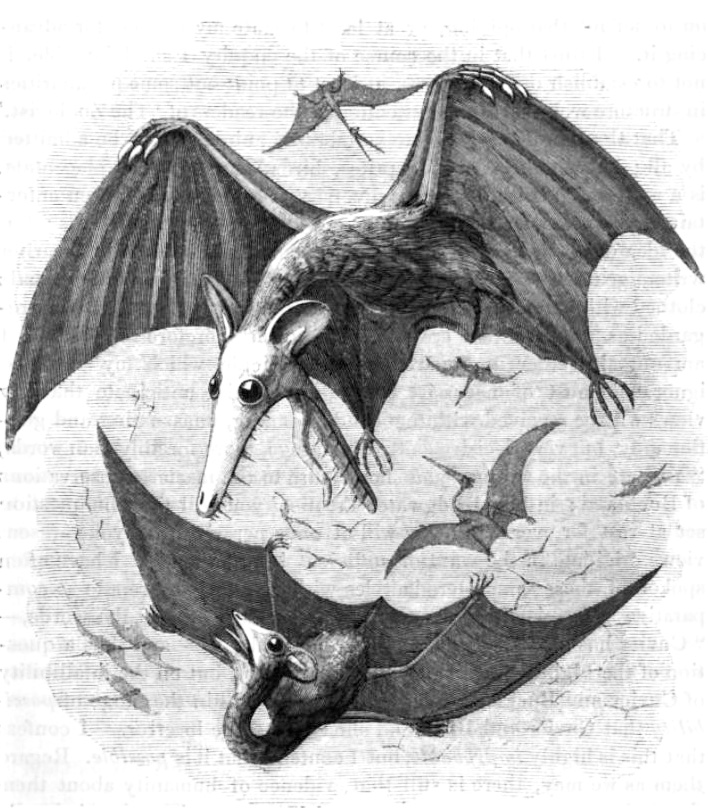 History of Geology: When pterosaurs were still mammals: evolving views ...