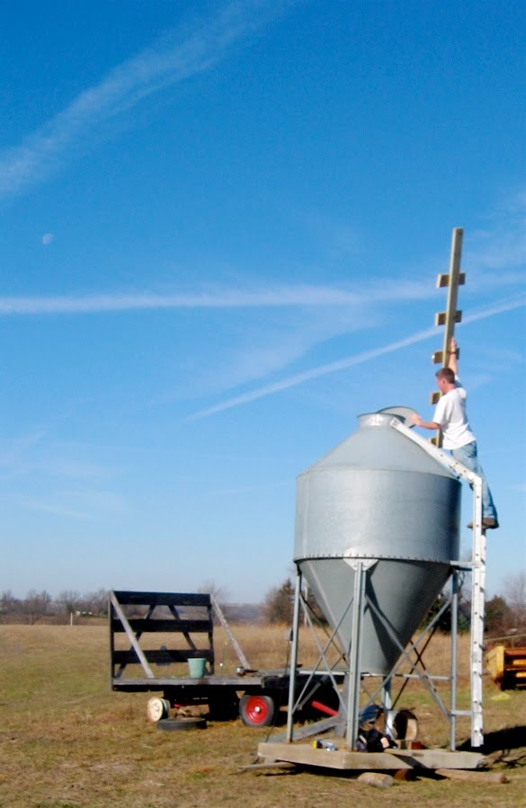 The Beginning Farmer: Small-Scale Pig Farming...