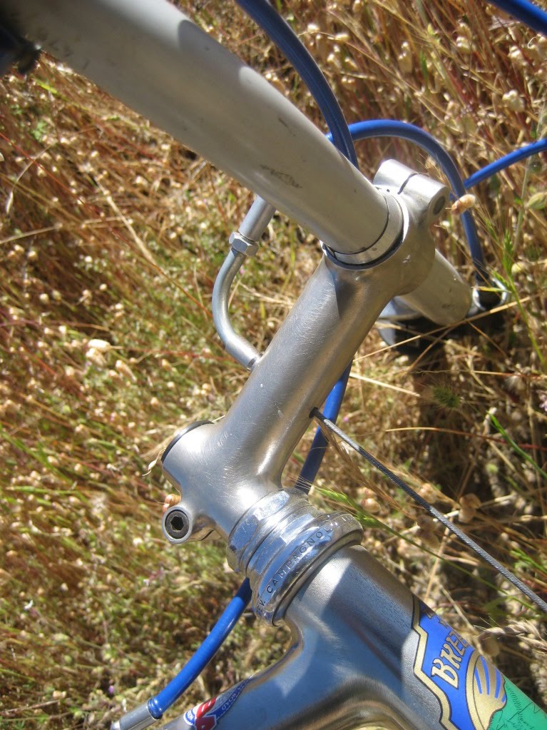 Saturday vintage bike fest... - Black Mountain Cycles