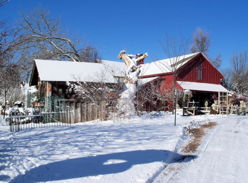 RubyLemons: Christmas at Monches Farm