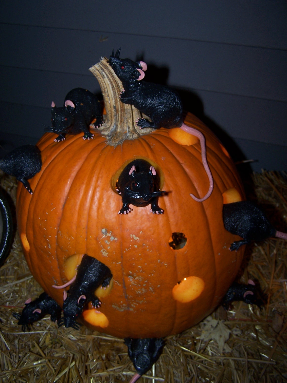 Nitty Gritty Pretty: Rat Motel Pumpkin