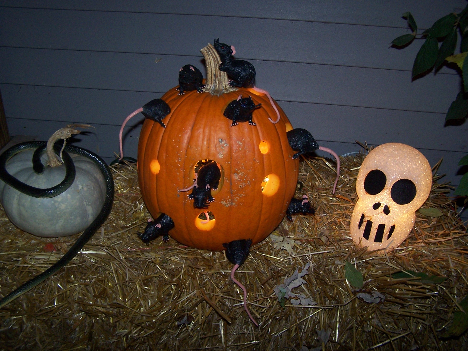 Nitty Gritty Pretty: Rat Motel Pumpkin