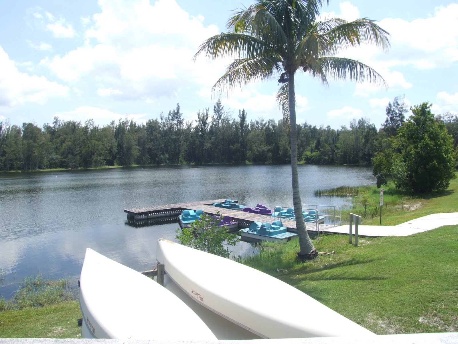 Tree Tops Park Broward County at Lucinda Pell blog