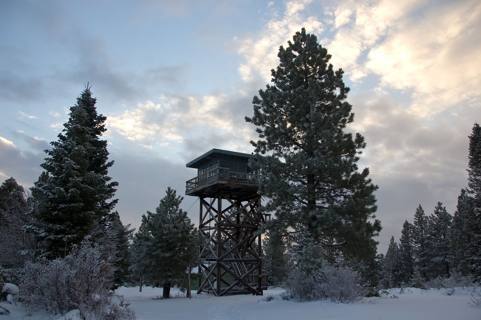 From Where I'm Standing: five mile butte fire lookout