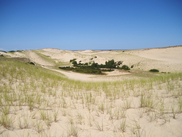 The Saratoga Skier and Hiker: Provincetown Dunes Hikes: 08/13/2010