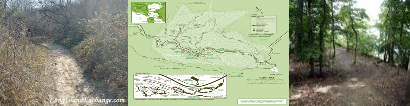 Info. in a Nutshell...