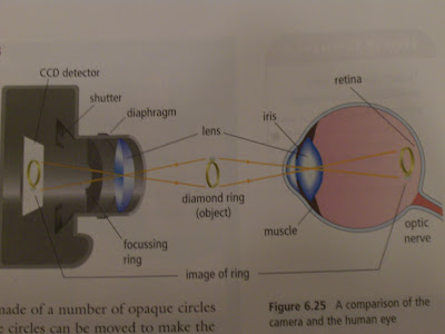 Learn Science 8~ ^.*''': ~Cameras Have Similarities to Human Eyes~