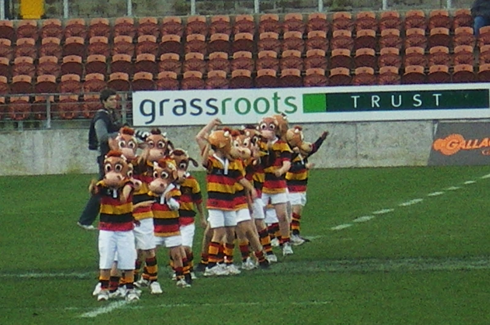 Kia Ora from Kiwiland!: Gangsters, Rugby, and a Bag of Spifes