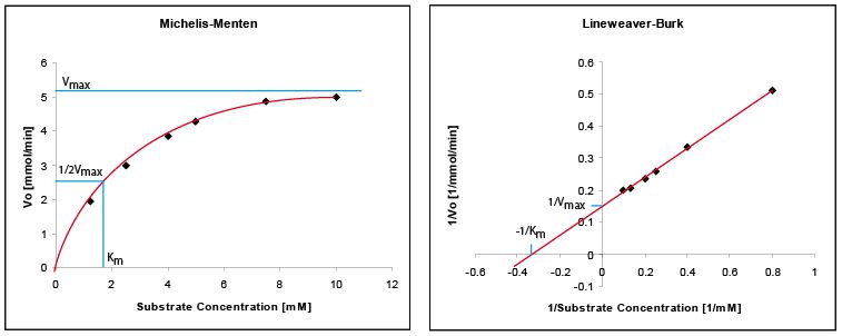 BioFreaks Biochemistry Blog (v.Beta): 3rd year practicals - exam paper ...