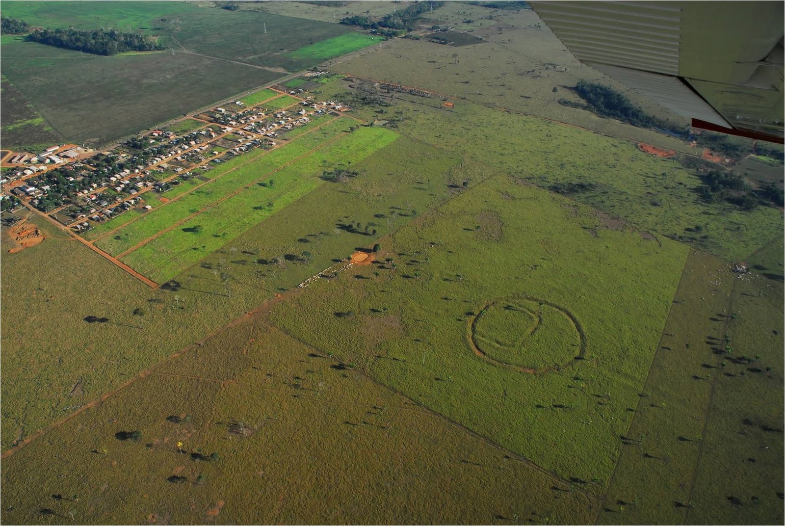 AMBIENTE ACREANO: Julho 2010