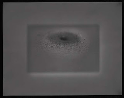 PUTREFACTO: Ann Mandelbaum