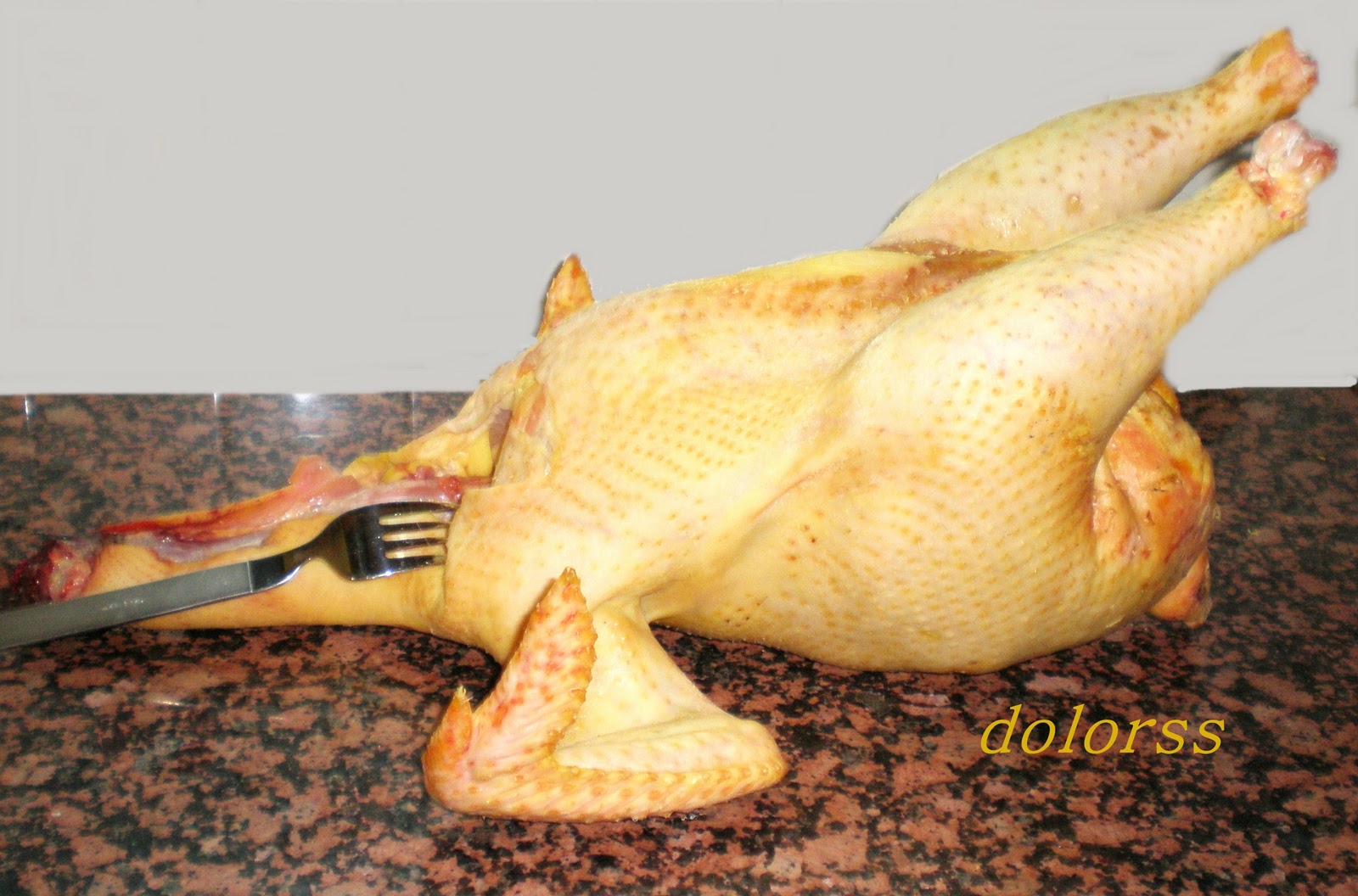 Blog de cuina de la dolorss: diciembre 2010