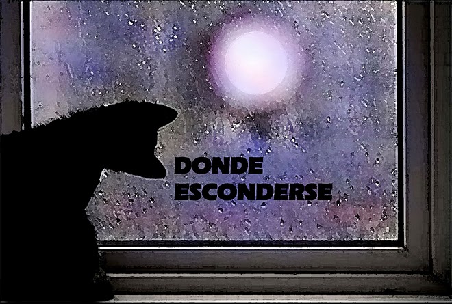 "SanaMia" Anorexia-Bulimia: Esconderse