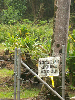 My Rough Draft: Halawa Valley Heiau