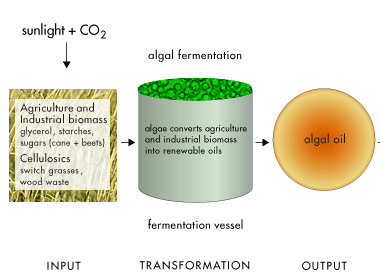 Algae and Energy: The success of Solazyme: what they are keeping in the ...