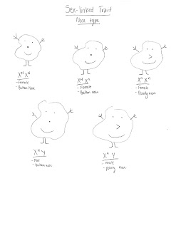 Genetics Project: Part II: Design a Species