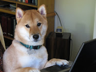 The Misadventures of a Shiba Inu: A Tale of Mari and Three Puppies