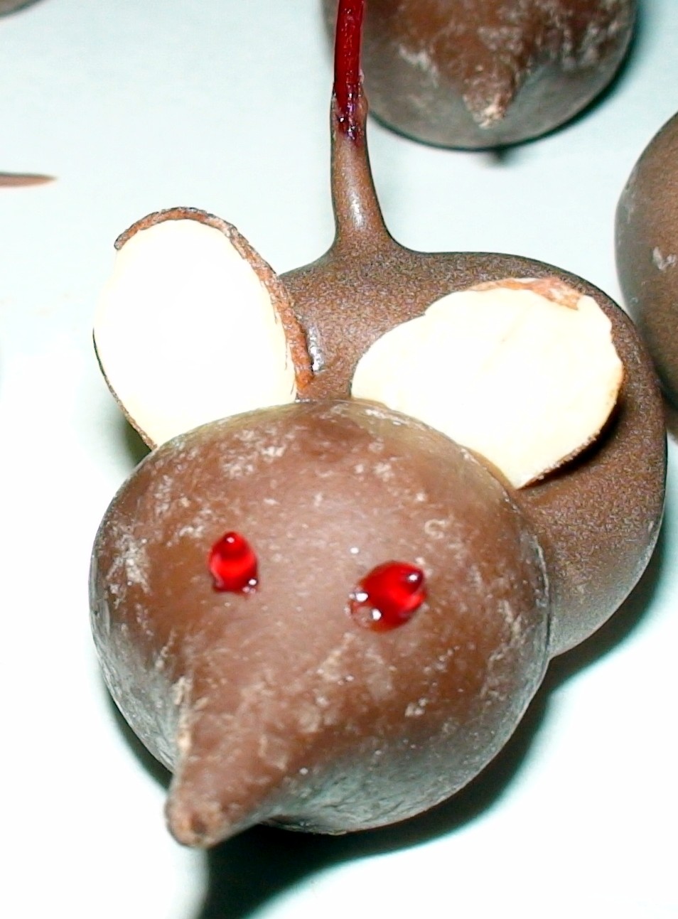 Smart Cooking: Nancy's Chocolate Mice