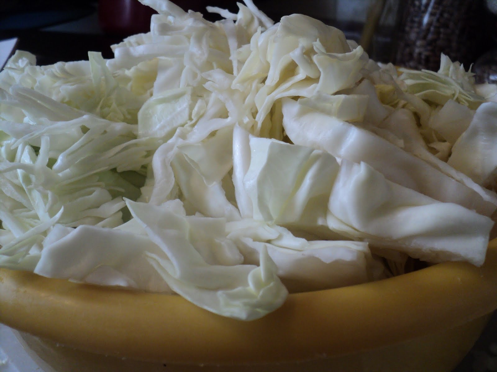 Country Cabbage Soup - Vernalisa's Recipe Board